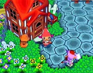 Animal Crossing 2 | Animal Crossing Enciclopedia | Fandom