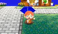 Pitfall Seed | Animal Crossing Wiki | Fandom