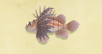 Zebra Turkey Fish