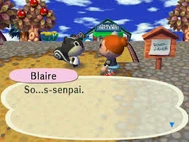 Cachou | Animal Crossing Wiki | Fandom