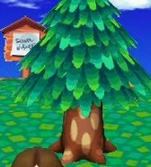 Tree | Animal Crossing Wiki | Fandom