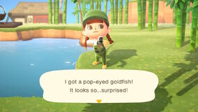 Animal crossing new horizons fishing store