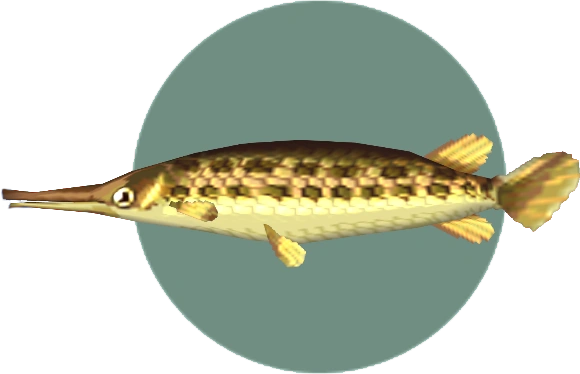 Gar/Gallery | Animal Crossing Wiki | Fandom