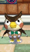 Blathers/Gallery | Animal Crossing Wiki | Fandom
