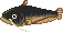 Catfish | Animal Crossing Wiki | Fandom