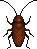 Cockroach | Animal Crossing Wiki | Fandom