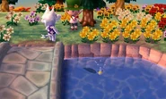 Fish | Animal Crossing Wiki | Fandom