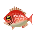 Red snapper/Gallery | Animal Crossing Wiki | Fandom
