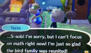 Nate/Gallery | Animal Crossing Wiki | Fandom
