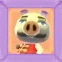 Chops/Gallery | Animal Crossing Wiki | Fandom