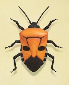 Man-faced stink bug | Animal Crossing Wiki | Fandom