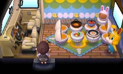 Campground | Animal Crossing Wiki | Fandom