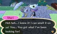 Shari/Gallery | Animal Crossing Wiki | Fandom