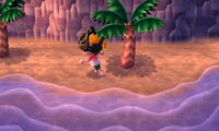 Ocean | Animal Crossing Wiki | Fandom
