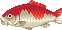 Koi | Animal Crossing Wiki | Fandom