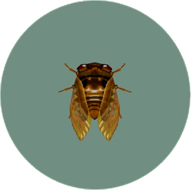 Brown cicada/Gallery | Animal Crossing Wiki | Fandom