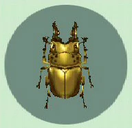 Golden stag/Gallery | Animal Crossing Wiki | Fandom