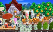Shari/Gallery | Animal Crossing Wiki | Fandom