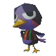 Joe (oiseau) | Animal Crossing Wiki | Fandom