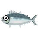 Spring mackerel/Gallery | Animal Crossing Wiki | Fandom