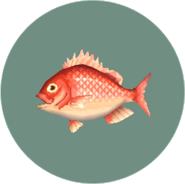 Red snapper/Gallery | Animal Crossing Wiki | Fandom