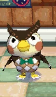 Blathers/Gallery | Animal Crossing Wiki | Fandom