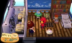 Campground | Animal Crossing Wiki | Fandom