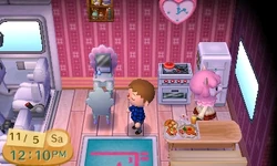 Campground | Animal Crossing Wiki | Fandom