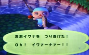 Char | Animal Crossing Wiki | Fandom