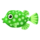 Green Boxfish - Animal Crossing: Pocket Camp Wiki
