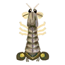Mantis Shrimp - Animal Crossing: Pocket Camp Wiki