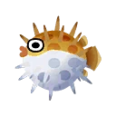 Puffer Fish - Animal Crossing: Pocket Camp Wiki