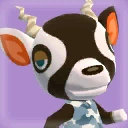 Zell - Animal Crossing: Pocket Camp Wiki