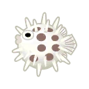 White Puffer Fish - Animal Crossing: Pocket Camp Wiki