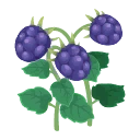 Purple Berries - Animal Crossing: Pocket Camp Wiki