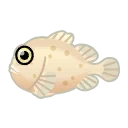 White Lumpfish - Animal Crossing: Pocket Camp Wiki