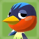 Robin - Animal Crossing: Pocket Camp Wiki