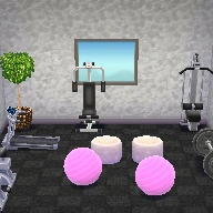 Training Room - Animal Crossing: Pocket Camp Wiki