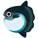 Ocean Sunfish - Animal Crossing: Pocket Camp Wiki