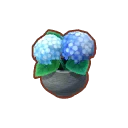 Potted Blue Hydrangeas - Animal Crossing: Pocket Camp Wiki
