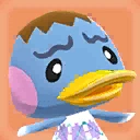 Pate - Animal Crossing: Pocket Camp Wiki