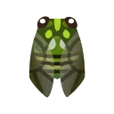 Robust Cicada - Animal Crossing: Pocket Camp Wiki