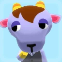 Kidd - Animal Crossing: Pocket Camp Wiki
