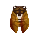 Brown Cicada - Animal Crossing: Pocket Camp Wiki