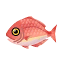 Island Red Snapper - Animal Crossing: Pocket Camp Wiki