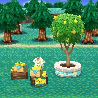Lemonade Stand 1 - Animal Crossing: Pocket Camp Wiki