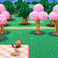 Spring Picnic 3 - Animal Crossing: Pocket Camp Wiki