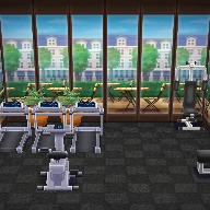 Training Room 2 - Animal Crossing: Pocket Camp Wiki