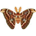 Atlas Moth - Animal Crossing: Pocket Camp Wiki