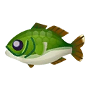 Black Bass - Animal Crossing: Pocket Camp Wiki
